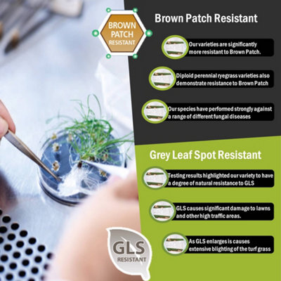 Pegdev - PDL - ProScape Grass Seed, The Ultimate Solution for ...