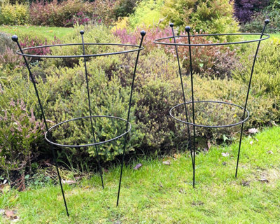 Peony Frame Garden Plant Support Flowers Ring Border Herbaceous Frame ...