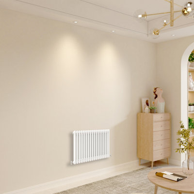 Perfect Sanitary Horizontal Radiator 600x830mm White Double Cast Iron ...