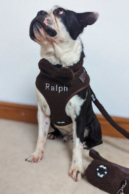 Personalised Chocolate Bear Hugs Harness Set