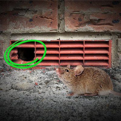 Pest Proofing Air Brick Cover by MouseMesh - Large Brick Red 255mm(W) x ...