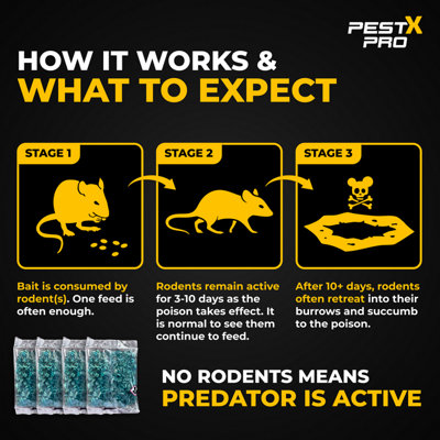 Pest-X Pro Predator Single-Feed Rat & Mouse Poison Sachets - Super ...