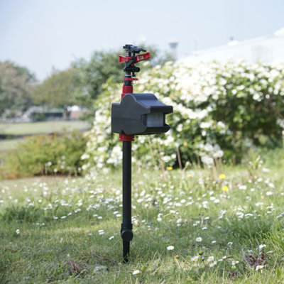 PestBye Jet Spray Battery Operated Motion Activated Cat Scarer ...