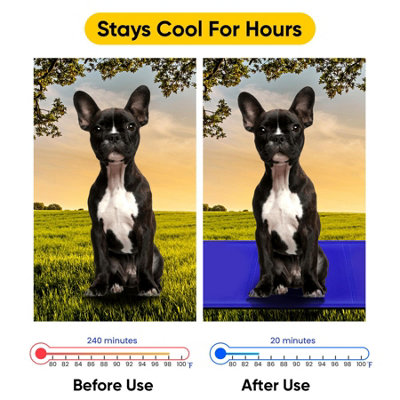 Pet Cooling Gel Mat For Dogs 50 x 90cm
