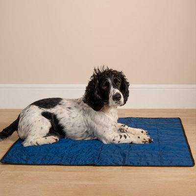 Pet Dog Cat Cooling Gel Mat Bed Resting Pad, 50 x 60cm - Pacific Blue