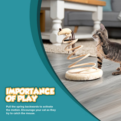 PETLICITY Cat Spiral Spring Toy for Indoor Cats - Interactive Spring ...