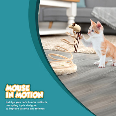 PETLICITY Cat Spiral Spring Toy for Indoor Cats - Interactive Spring ...