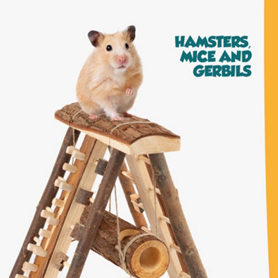 PETLICITY Wooden Hamster Playground - Vertical Climb & Hide Play House