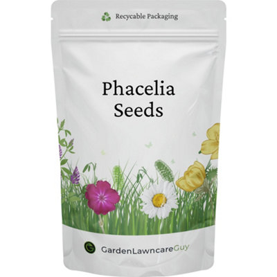 Phacelia Wildflower Seeds 100g - Phacelia tanacetifolia - Attract ...