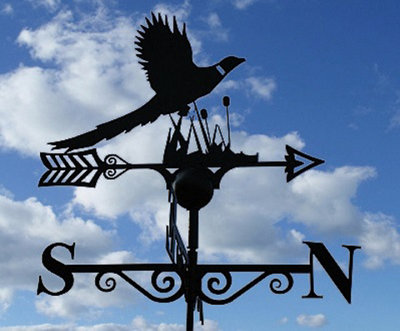 Pheasant Weathervane - Solid Steel - W61 x H88 cm - Black | DIY at B&Q