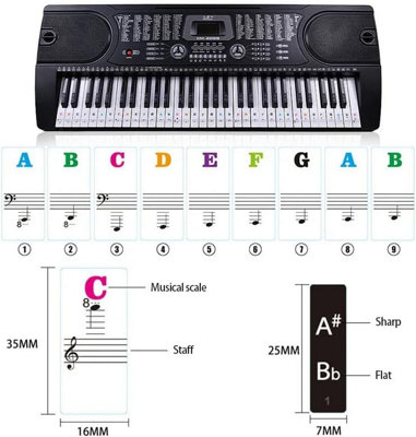 Piano Note Sticker Sheet for Keyboards with 37-88 Keys, Transparent ...