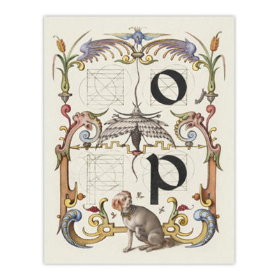 Pictorial Letter Guide O And P Calligraphy Wall Art Poster Print 12X16"