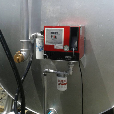 Piusi CF100 Particle Fuel Filter/Diesel filter - 100 Ltrs Per Min (10 ...