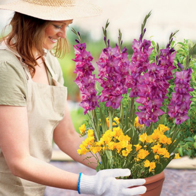 Plant-O-Mat Gladiolus and Freesia Mix