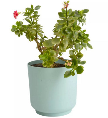 Plant Pot Cover Flowerpot Round Plastic Modern Decor Pastel Dusty Mint ...