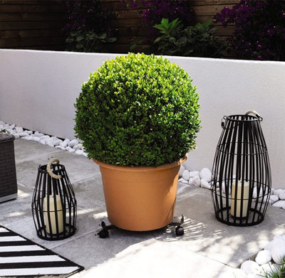 Plant Pot Mover - Adjustable Width Heavy Duty Steel Flower Pot Caddy ...