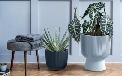 Boho plant pots store