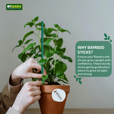 PLANT SUPPORT STICK BAMBOO WOODEN CANES, FLOWER SUPPORT POLE, PLANT ...