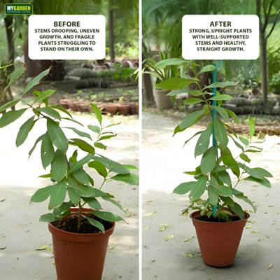 Plant Support Stick Bamboo Wooden Canes, Flower Support Pole, Plant ...