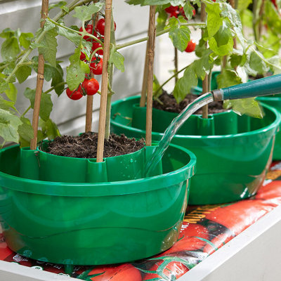 Plant Watering & Support System (Set of 3)