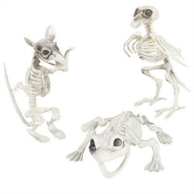 Plastic Animal Skeleton Pack 3 Pcs Crow, Frog & Rat - Pack of 3