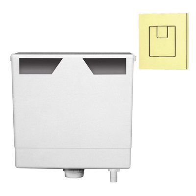 Plum&Clay Ether Compact Concealed Dual Flush Cistern with Gold Square ...