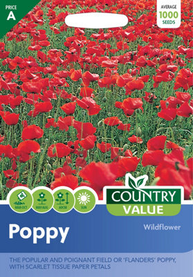 Poppy Wildflower by Country Value | DIY at B&Q