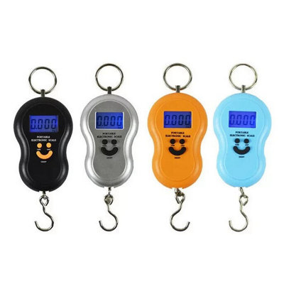 Portable Mini Digital Scale Hand Held 50Kg Fish Hook Hanging Scale ...