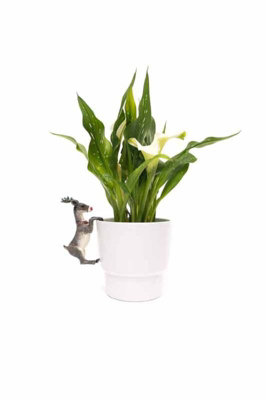 Pot Buddies Christmas Rudolf Reindeer Plant Pot Hanger | DIY at B&Q