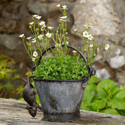 Pot Buddies Plant Pot Ornament- Mouse