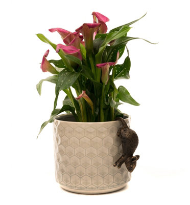 Pot Buddies Plant Pot Ornament- Mouse
