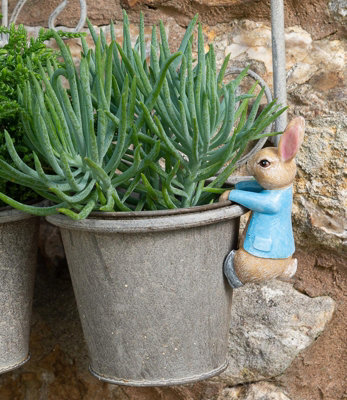 Buy Pot Buddies Plant Pot Ornament - Peter Rabbit Hanging at B&Q