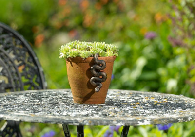Pot Buddies Plant Pot Ornament - Snake Boa Contrictor
