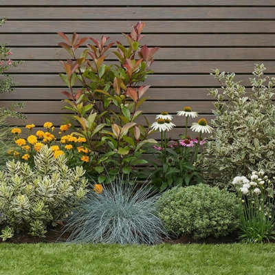 Pre-designed Sunny Garden Border Starter Kit 6m x 90cm Garden on a Roll