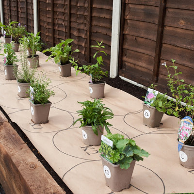 Pre-designed Sunny Garden Border Starter Kit 6m x 90cm Garden on a Roll