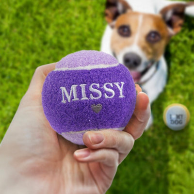 Pre-personalised Dog Ball Toy - Missy - Over 100 Options