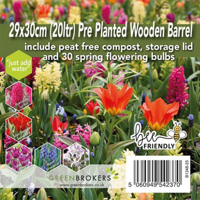 Pre-Planted Wooden Barrel Planter-30 Red & Yellow Spring Flowering ...