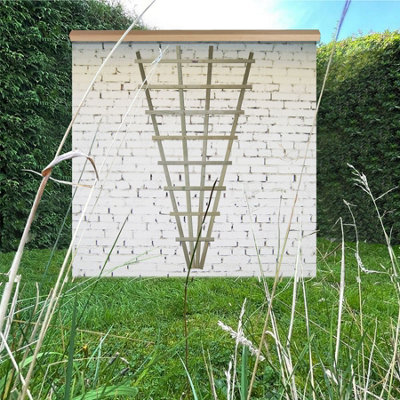 Premier Garden 1x Wooden Fan Trellis Wall/Fence Lattice Wide: 3ft (90cm ...