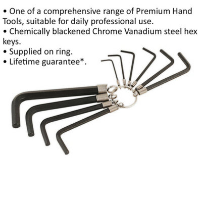 Premium 10 Piece Hex Key Set in Blackened Chrome Steel - Complete Allen ...