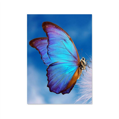 Premium 60 x 90cm Butterfly 6mm Glass Toughened Kitchen Splashback