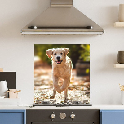 Premium 60cm x 65cm 6mm Glass Dog Kitchen Splashback Toughened Polished ...