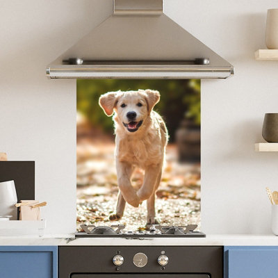 Premium 60cm x 75cm 6mm Glass Running Dog Kitchen Splashback Various ...