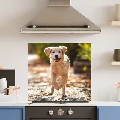 Premium 70cm x 65cm 6mm Glass Dog Kitchen Splashback Toughened Polished ...