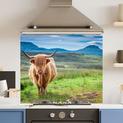 PREMIUM 90 X 65CM GREEN HIGHLAND COW 6MM GLASS TOUGHENED KITCHEN ...