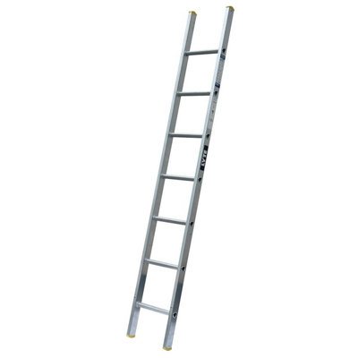 Premium Trade Single-Section Ladder EN131-2 Certified Lyte | DIY at B&Q