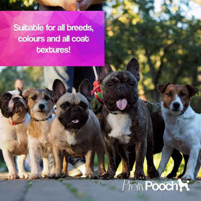 Pretty Pooch 2L Gentle Touch Dog Shampoo & 250ml Deodorising Spray Baby ...