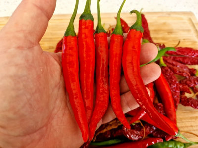 Prik Chi FAA Chilli Seeds - 10 Fresh Seeds