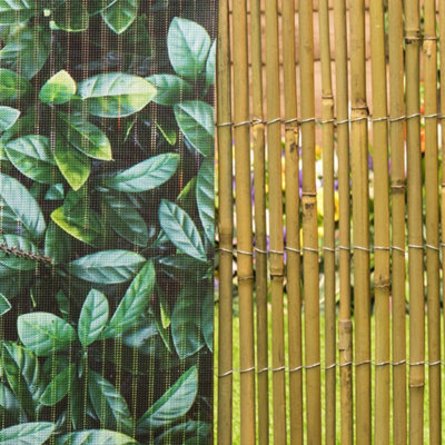 Primrose 5m Decorative Leaf Garden Screening Roll | DIY at B&Q