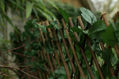Primrose Extendable Artificial English Ivy Screen Garden Fencing ...