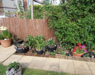 Primrose Natural Bark Screening Garden Fence Privacy Roll Sun ...